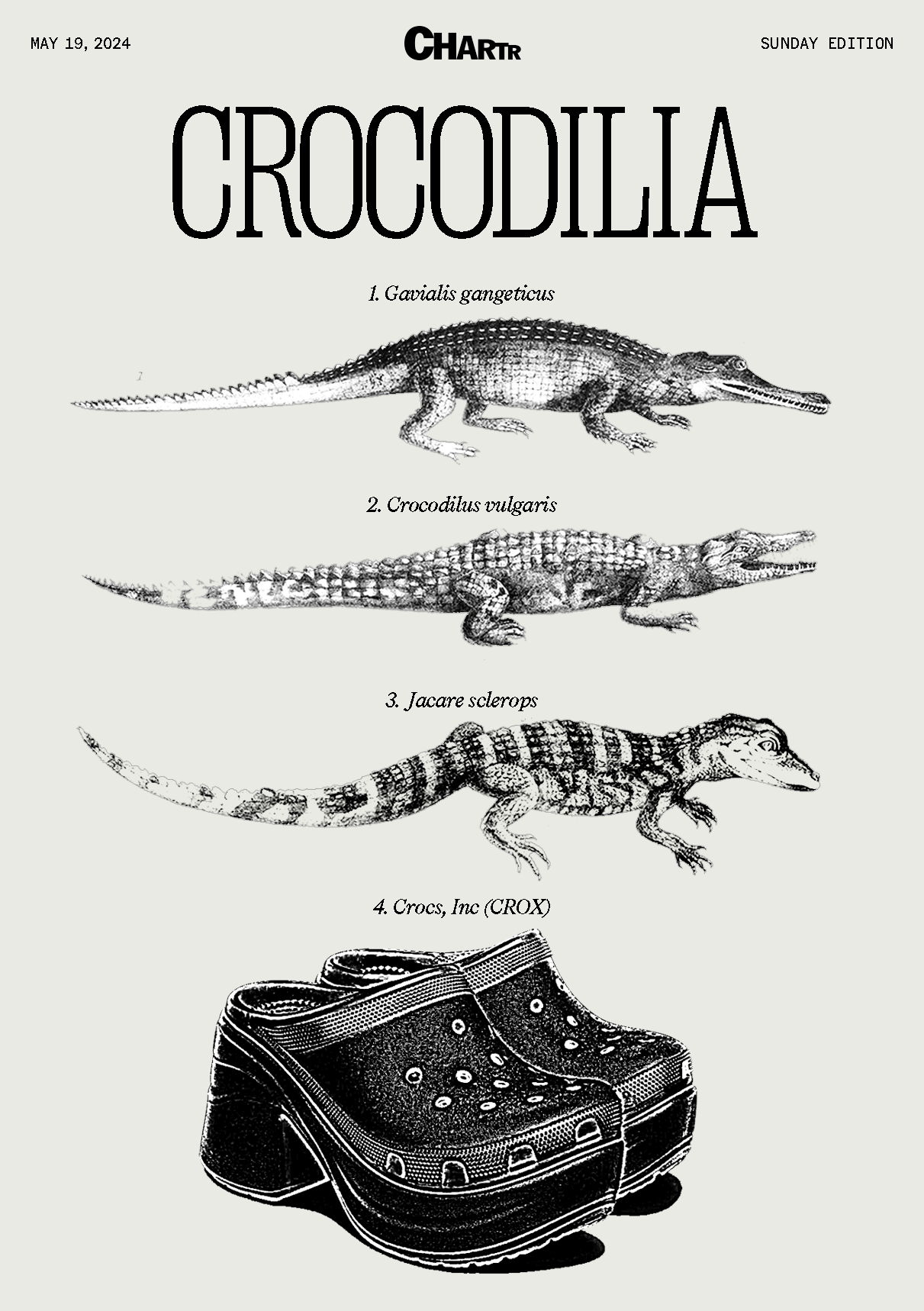 Crocodilia: How Crocs became a clog-selling profit machine - Sherwood News